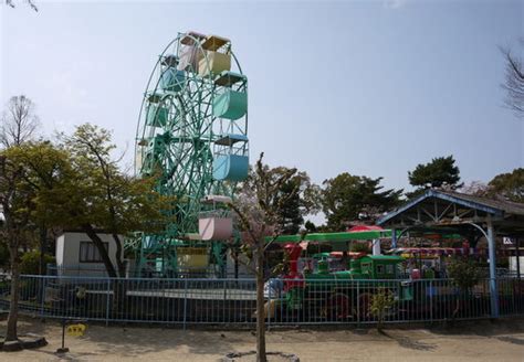 京都市動物園～リニューアル中の動物園 京都検定に挑戦