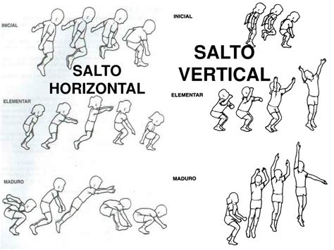 PPT FASES DE DESENVOLVIMENTO DAS HABILIDADES MOTORAS FASE REFLEXIVA