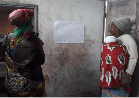 Pdia Online Course Building State Capability