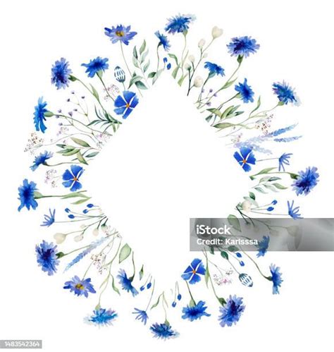 Aquarelle Bleuets Bleuets Et Fleurs Sauvages Cadre Carré Mariage Dété