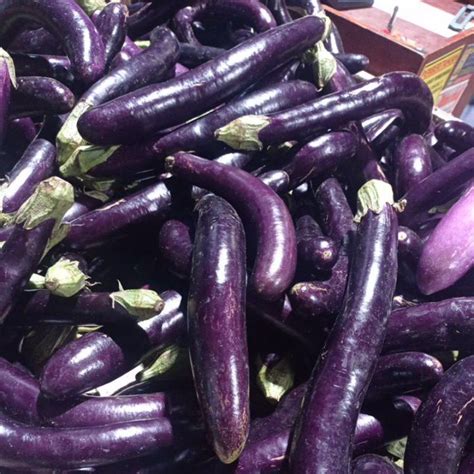 Jual Terong Ungu Segar 1kg Shopee Indonesia
