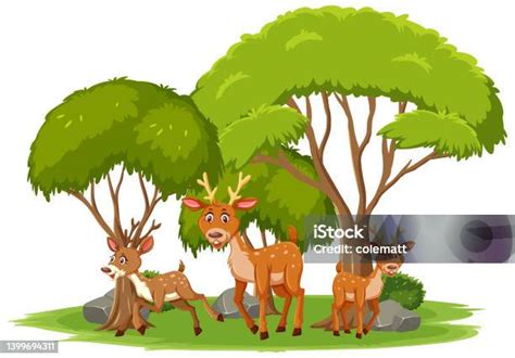 ฉากที่โดดเดี่ยวกับกวางจํานวนมาก ภาพประกอบสต็อก ดาวน์โหลดรูปภาพตอนนี้ กลางแจ้ง การตั้งค่า