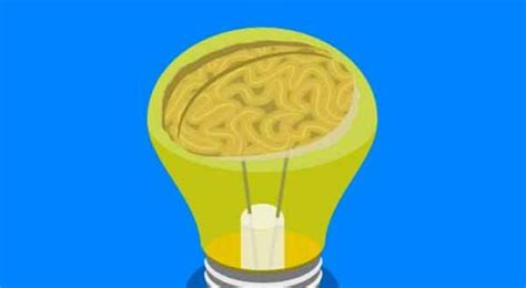 ¿por Qué Las Ideas Y Creencias Funcionan Como Base Del Conocimiento