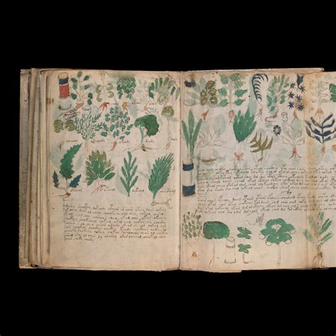 Voynich Manuscript Decoded Can Statistics Help Crack The Mysterious