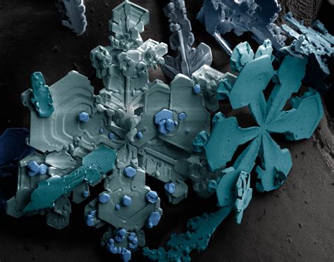 Real Snowflake Under Electron Microscope