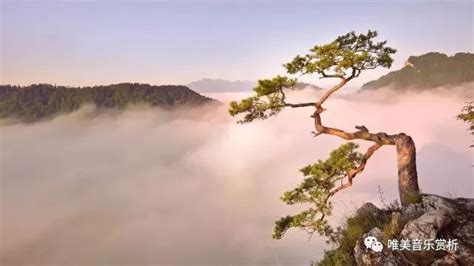 做人，千万要守住自己的底线！ 搜狐大视野 搜狐新闻