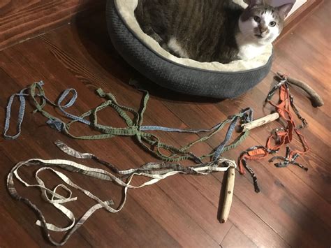 Hand Made Customized Cat String Toy Etsy