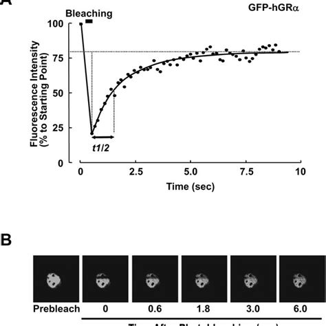 Structures Of The Hgr Gene And The Hgrα Protein And Hgrα Mediated