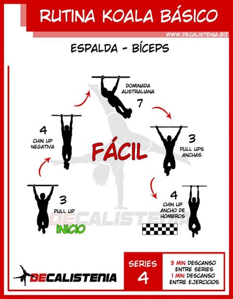 【 Sección Decalistenia Exclusiva Para Principiantes 】 ᐊ Calistenia
