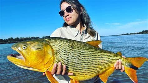 Salto Uruguay Cuna De Enormes Dorados Weekend