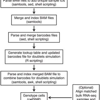 Schematic Illustrating The Steps In The Snakemake Workflow The Download Scientific Diagram