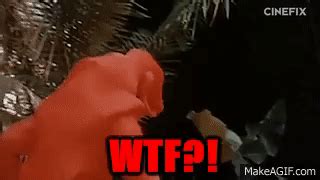 7 Things You Probably Didn T Know About Predator On Make A GIF