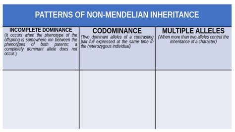 Activity Chart Pdf Activity Chart Pdf