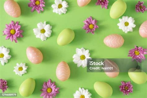 화려한 꽃과 부활절 달걀로 만든 창조적 인 레이아웃 최소한의 자연 녹색 배경입니다 봄 방학 개념입니다 개념에 대한 스톡 사진 및 기타 이미지 Istock