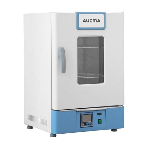 Vertical Electric Heating Constant Temperature Blast Drying Oven