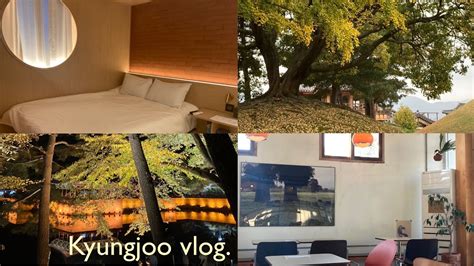 직장인 Vlog 금요일 반차쓰고 경주🤎• 황리단길 완전 정복🌟• 향미사 • 대릉원사진관 • 황남호떡 •동궁과월지 야경🌌 • 언바운디경주 숙소 • 교리김밥 Youtube