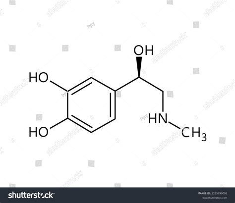 Adrenaline Molecular Structure Adrenaline Epinephrine Hormone Stock