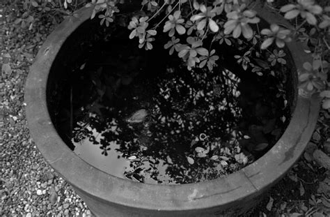 sv,35/3.5,tmy2 | atmo1966 | Flickr