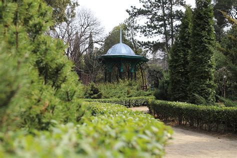 საქართველოს ეროვნული ბოტანიკური ბაღი