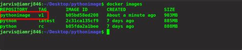 How To Run Python Scripts Inside Docker Containers Complete Guide