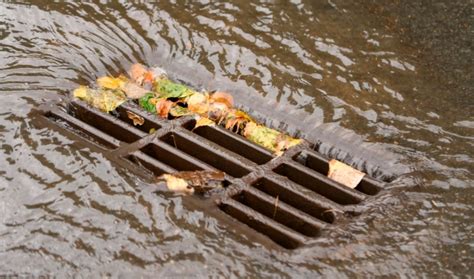 West Brabant Krijgt 336 381 Euro Voor Klimaatmaatregelen Ontstenen En Afkoppelen Van