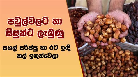 පවුල්වලට හා සිසුන්ට ලැබුණු සහල් පරිප්පු හා රට ඉඳි කල් ඉකුත්වෙලා Youtube