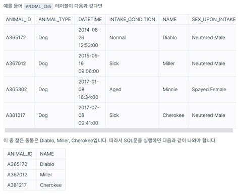 프로그래머스 Sql 어린 동물 찾기 프로그래머스 Sql 어린 동물 찾기