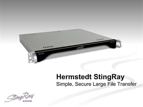 Hermstedt Stingray File Transfer Server Ppt Internet Computing