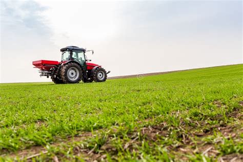 Farmer In Tractor Fertilizing Wheat Field At Spring With Npk Stock