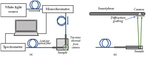 Rare Earth Ion Re3 Doped Aluminum And Lanthanum Borates For Mobile Phone Interrogated