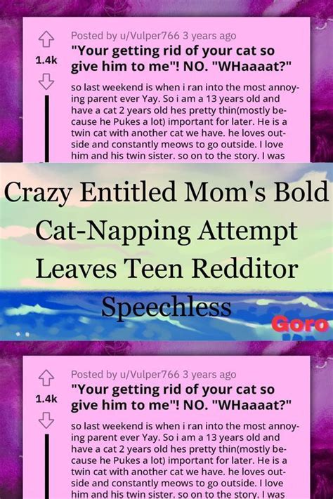 Crazy Entitled Moms Bold Cat Napping Attempt Leaves Teen Redditor
