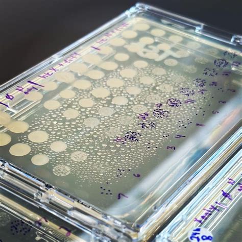 Peter Lio On Linkedin Science Biotech