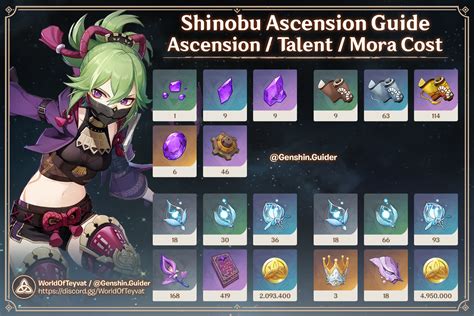Kuki Shinobu Set Build Capacités Stats Guide Genshin Impact