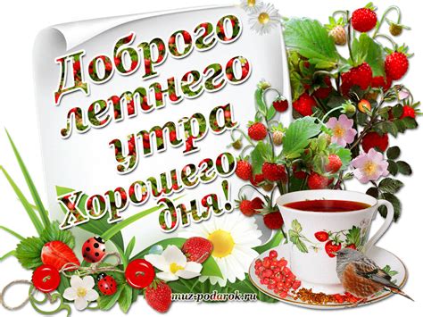 Доброго летнего утра Хорошего дня Поздравительные открытки Доброе утро Открытки