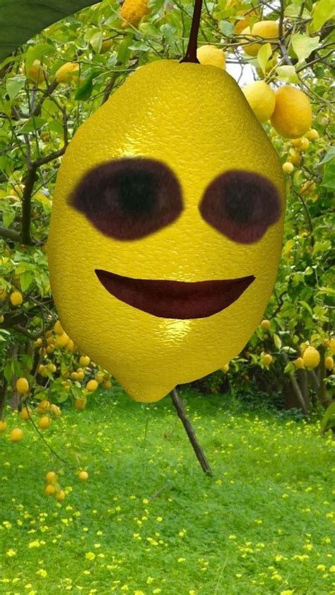 Lemon🍋 Lemon