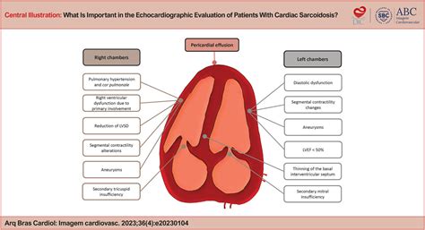 What Is Important In The Echocardiographic Evaluation Of Patients With Cardiac Sarcoidosis