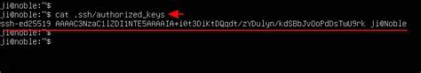 在 Ubuntu 中设置远程 SSH 登录的身份验证密钥