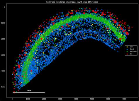 Tutorial Scanpy And Anndata Integration Plankton Py