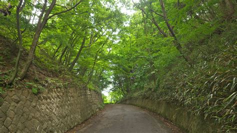 辰野町（上伊那郡）の文化史跡・遺跡ランキングtop1 じゃらんnet