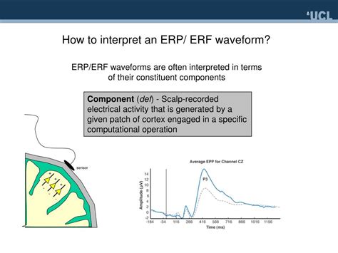 Ppt Eegmeg Experimental Design And Preprocessing Powerpoint
