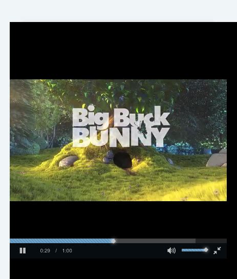 Javascript Chrome Safari Html5 Video Fullscreen Mode Not Working