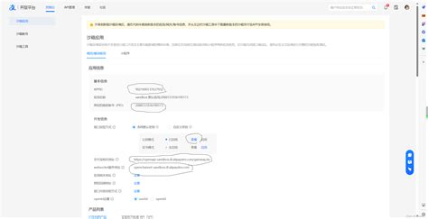 Springboot基于沙箱环境实现支付宝支付支付宝沙箱环境支付完成回调 Csdn博客