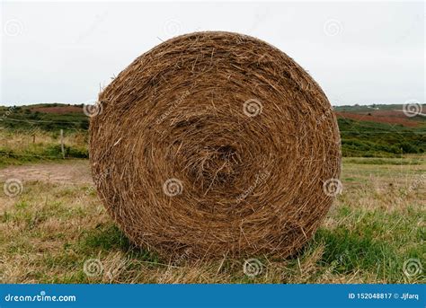 与干草捆的领域在收获以后在夏天 库存图片 图片 包括有 本质 地产 增长 收获 金黄 大包 152048817