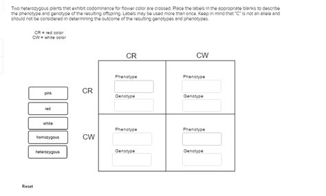 Solved Part 1 The Most Likely Pattern Of Inheritance For