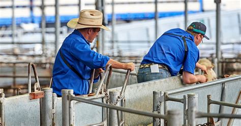 How Lpa Can Help Keep Your Staff Safe Integrity Systems