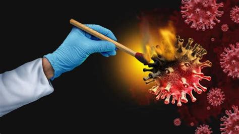 Corona Virus