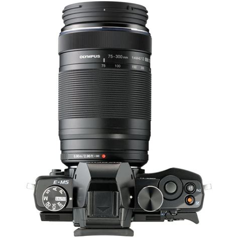 75 300 olympus: Обзор объектива Olympus M.Zuiko Digital ED 75-300mm F/4 ...