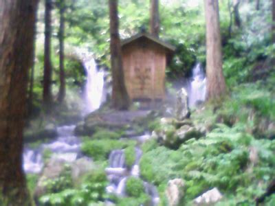 胴腹瀧道の駅象潟ねむの丘 よねっちのほぼ猫日記