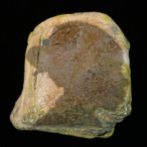 Photograph By Deborah Padfield With Nell Keddie From The Series