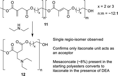 Insights Into Post‐polymerisation Modification Of Bio‐based Unsaturated Itaconate And Fumarate